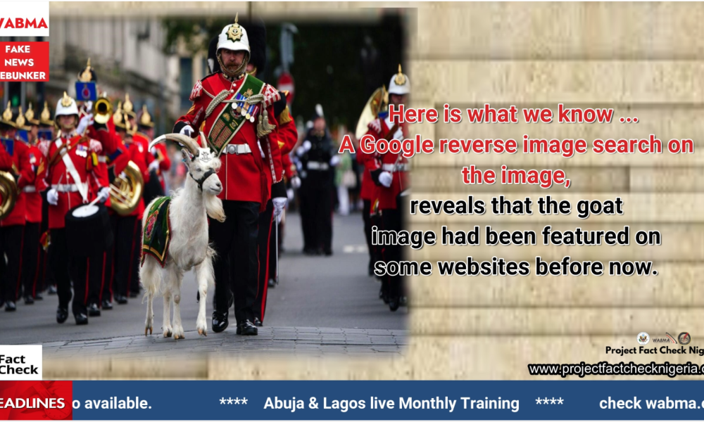 📬 Is it true that the white goat used in the Crowning ceremonies of ...